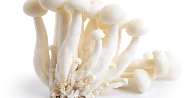 Jamur Enoki yang Kaya Nutrisi